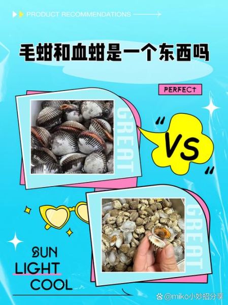 毛蚶是什么动物_毛蚶和血蚶的区别-第1张图片-山城妙识