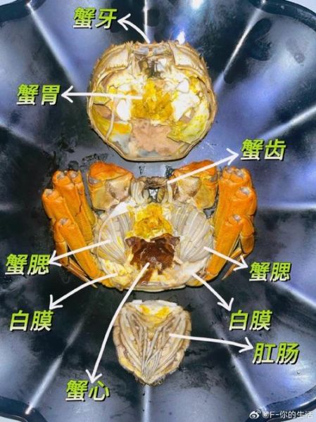 梭子蟹内脏怎么清洗_梭子蟹哪些部位不能吃-第2张图片-山城妙识