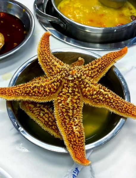 海星吃什么长大的_海星食物有哪些-第1张图片-山城妙识