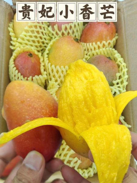 女生下面为什么叫芒果_女生下面叫芒果是什么意思-第2张图片-山城妙识