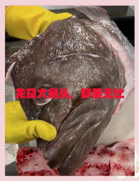 龙头鱼的营养价值_龙头鱼的功效与作用-第3张图片-山城妙识 龙头鱼的营养价值_龙头鱼的功效与作用-第3张图片-山城妙识