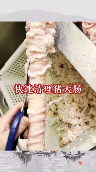 猪大肠怎么清洗最干净_猪大肠清洗方法-第2张图片-山城妙识 猪大肠怎么清洗最干净_猪大肠清洗方法-第2张图片-山城妙识