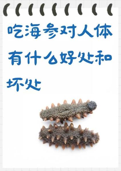 海参降血糖吗_血糖高能吃海参吗-第1张图片-山城妙识 海参降血糖吗_血糖高能吃海参吗-第1张图片-山城妙识