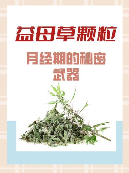 益母草颗粒对月经量少有用吗_月经量少怎么调理-第3张图片-山城妙识