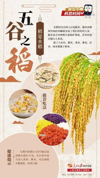 五谷丰登的登是什么意思_五谷丰登的登字由来-第3张图片-山城妙识