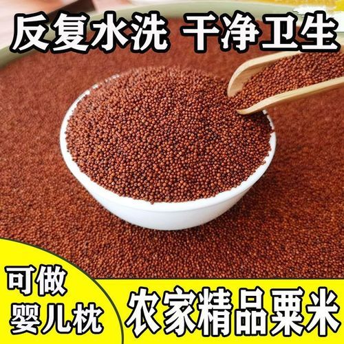 粟米壳小说结局是什么_粟米壳小说好看吗-第1张图片-山城妙识