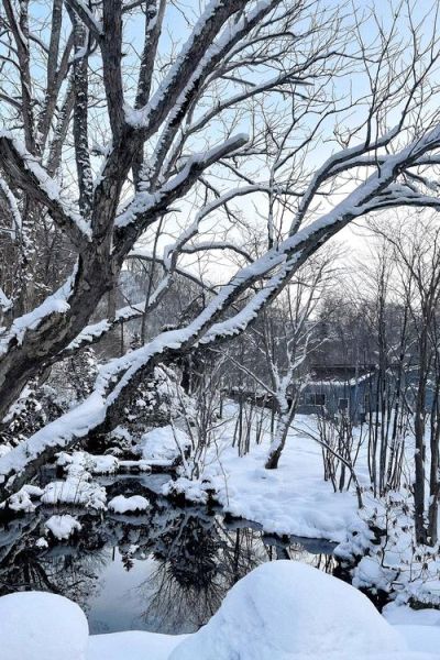 冬季风景怎么拍_雪景拍摄技巧-第1张图片-山城妙识