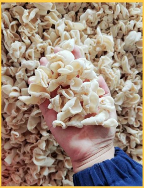 白色的木耳怎么做好吃_白色木耳的做法大全-第2张图片-山城妙识 白色的木耳怎么做好吃_白色木耳的做法大全-第2张图片-山城妙识