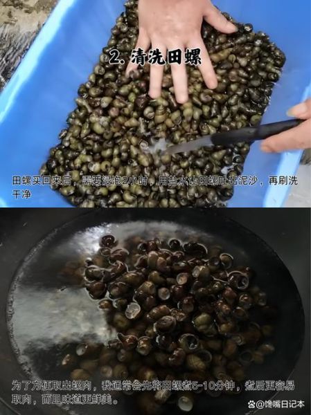 炒田螺用什么调料_炒田螺调料配方-第1张图片-山城妙识