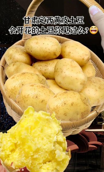 土豆图片可爱_怎么拍才萌-第3张图片-山城妙识