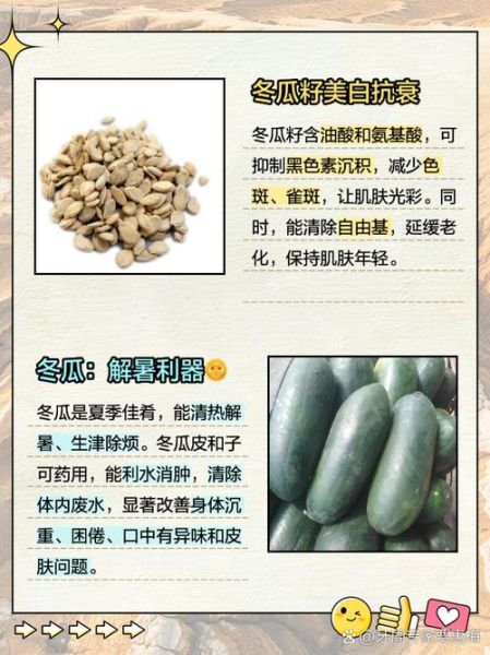 冬瓜的功效与作用_冬瓜的营养价值-第2张图片-山城妙识