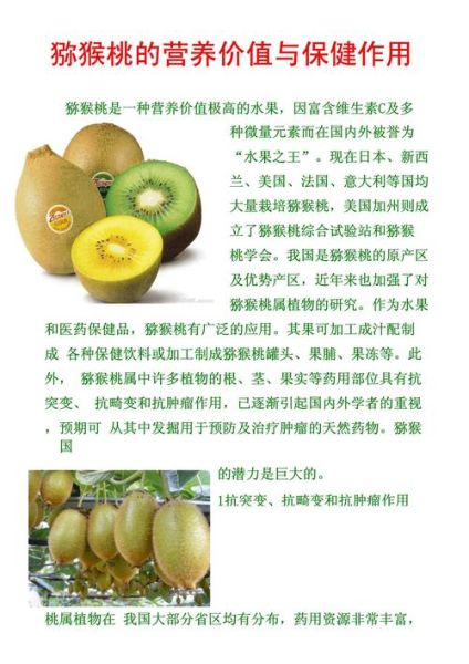 猕猴桃有什么功效_猕猴桃的营养价值高吗-第1张图片-山城妙识