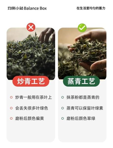 绿茶粉的功效与作用_绿茶粉怎么喝减肥-第1张图片-山城妙识