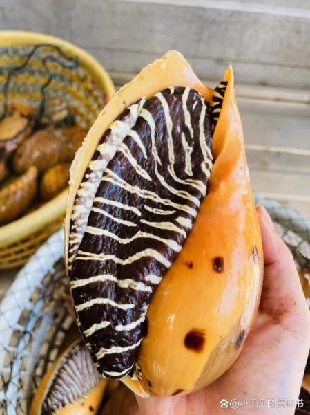 椰子螺龙珠是什么_椰子螺龙珠怎么吃-第2张图片-山城妙识