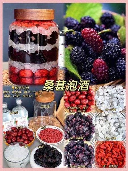 桑葚泡酒的做法_桑葚酒怎么泡才好喝-第1张图片-山城妙识