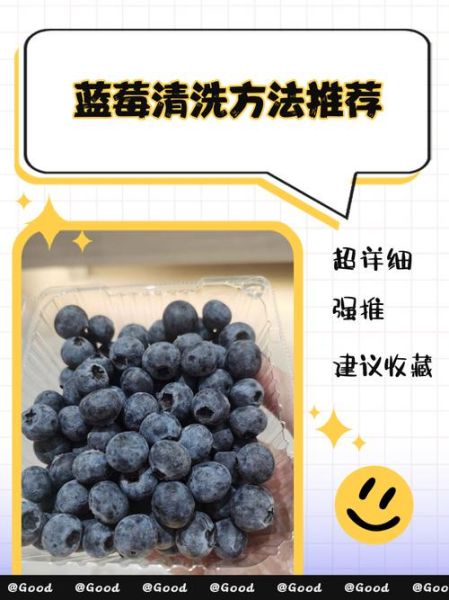 蓝莓怎么洗才干净_蓝莓汁溅到衣服怎么洗-第3张图片-山城妙识