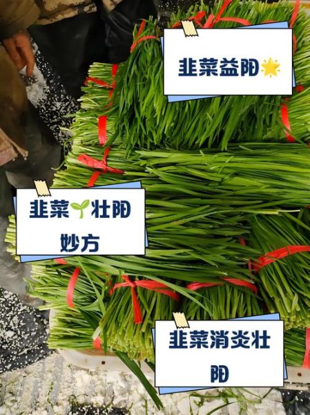 吃大葱壮阳还是韭菜壮阳_哪个效果更好-第1张图片-山城妙识