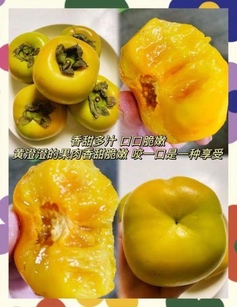 柿子怎么吃最好吃_柿子做法大全-第2张图片-山城妙识