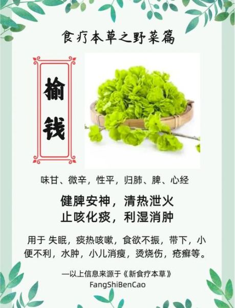吃榆钱有什么好处_榆钱的功效与作用-第2张图片-山城妙识