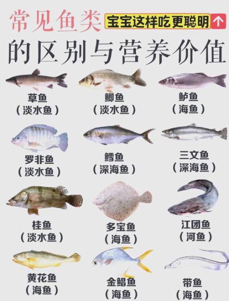 海鱼的营养价值及功效_海鱼怎么吃最健康-第3张图片-山城妙识 海鱼的营养价值及功效_海鱼怎么吃最健康-第3张图片-山城妙识