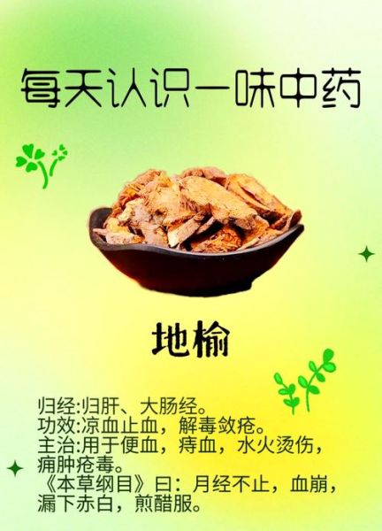 地榆的功效与作用_地榆怎么使用-第2张图片-山城妙识