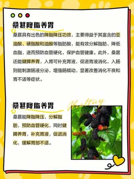 女人吃桑葚的好处_女人吃桑葚能美容养颜吗-第1张图片-山城妙识