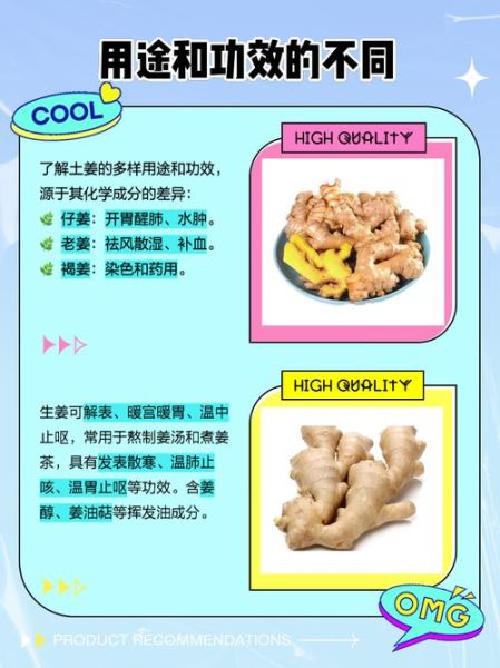 土生姜图片_如何辨别真假土生姜-第1张图片-山城妙识