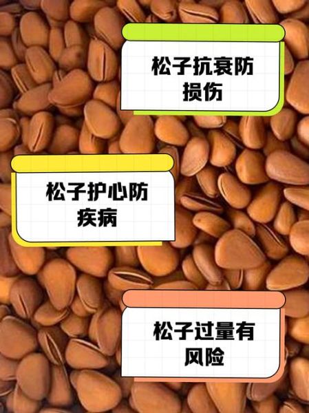 常吃松子有什么好处和坏处_松子吃多了会上火吗-第2张图片-山城妙识