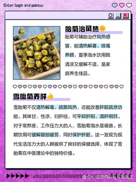 雪菊胎菊的功效与作用_雪菊胎菊适合什么人喝-第1张图片-山城妙识