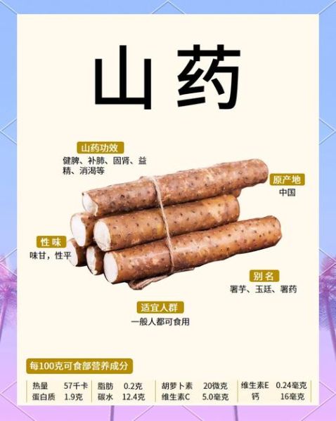 山药与淮山的功效一样吗_区别与选购指南-第1张图片-山城妙识 山药与淮山的功效一样吗_区别与选购指南-第1张图片-山城妙识
