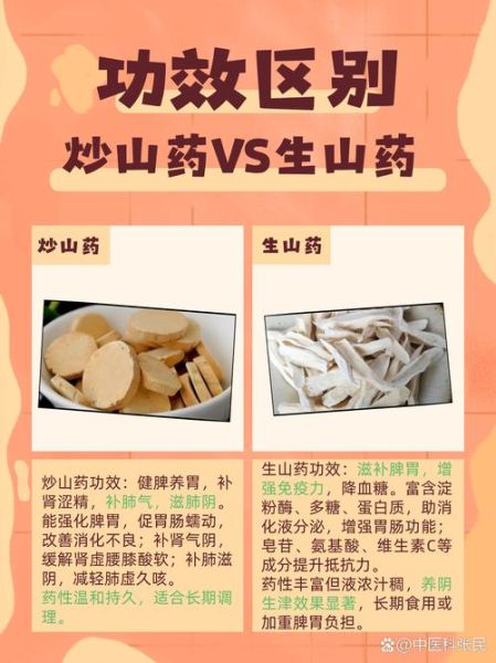 山药与淮山的功效一样吗_区别与选购指南-第2张图片-山城妙识 山药与淮山的功效一样吗_区别与选购指南-第2张图片-山城妙识
