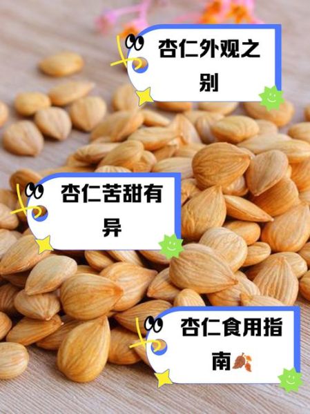 苦杏仁一天吃几个_苦杏仁吃多了会中毒吗-第3张图片-山城妙识 苦杏仁一天吃几个_苦杏仁吃多了会中毒吗-第3张图片-山城妙识