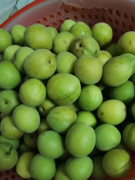 十大最酸的水果有哪些_如何缓解酸到牙疼-第3张图片-山城妙识