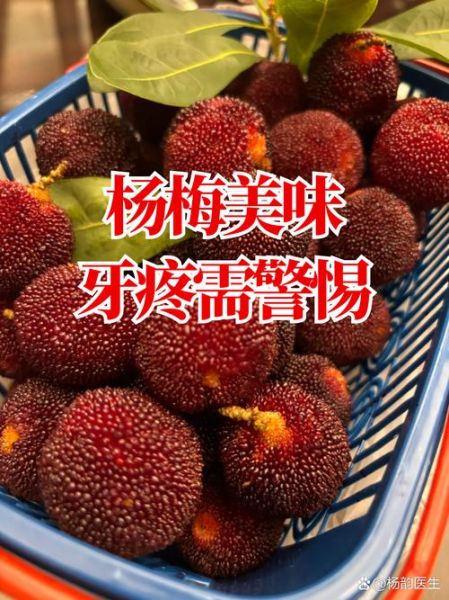 十大最酸的水果有哪些_如何缓解酸到牙疼-第1张图片-山城妙识