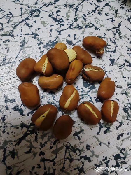 蚕豆什么人不能吃_蚕豆过敏症状有哪些-第2张图片-山城妙识