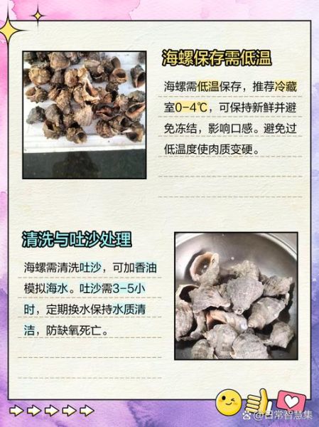 海螺怎么保存_海螺能放冰箱多久-第2张图片-山城妙识 海螺怎么保存_海螺能放冰箱多久-第2张图片-山城妙识