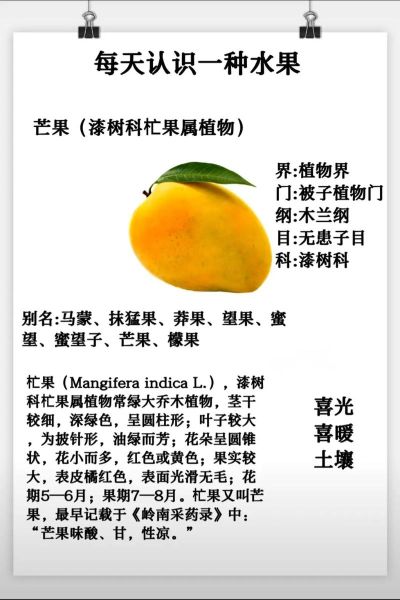 芒果的营养价值_吃芒果有什么好处-第1张图片-山城妙识