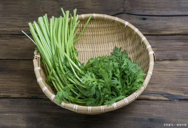 皇帝菜是茼蒿吗_皇帝菜和茼蒿的区别-第2张图片-山城妙识