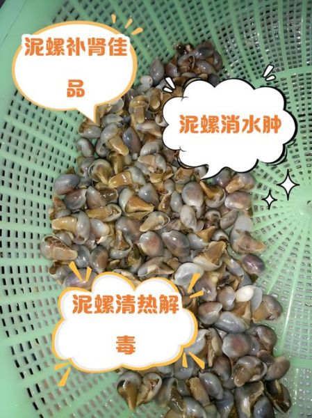 泥螺卵能吃吗_泥螺卵怎么清洗-第1张图片-山城妙识 泥螺卵能吃吗_泥螺卵怎么清洗-第1张图片-山城妙识