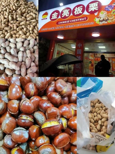 金板栗网怎么样_金板栗网靠谱吗-第1张图片-山城妙识 金板栗网怎么样_金板栗网靠谱吗-第1张图片-山城妙识