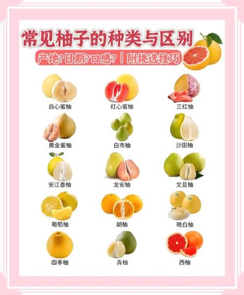 西柚和葡萄柚哪个减肥更好_区别与吃法全解析-第2张图片-山城妙识