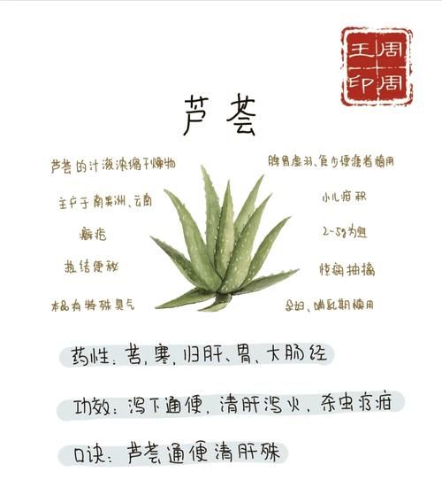 哪种芦荟有毒照片_如何辨别有毒芦荟品种-第1张图片-山城妙识