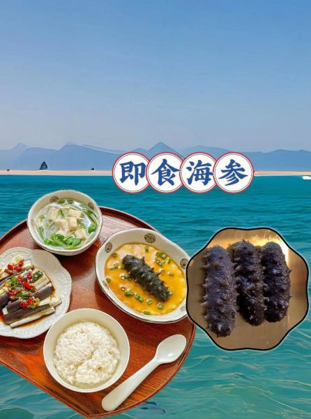海参图片设计大全集_海参怎么做才好吃-第3张图片-山城妙识