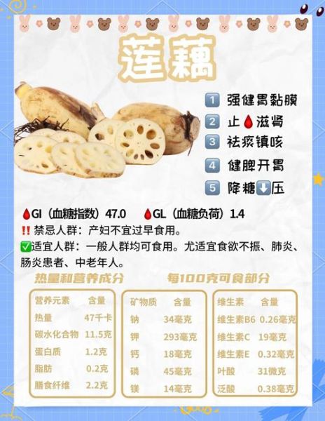 藕通过什么获取养分_藕的根系如何吸收营养-第1张图片-山城妙识 藕通过什么获取养分_藕的根系如何吸收营养-第1张图片-山城妙识