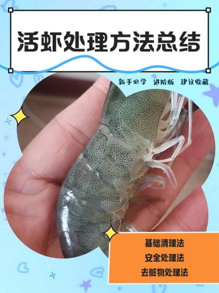 活虾怎么处理_活虾去虾线最简单的方法-第1张图片-山城妙识 活虾怎么处理_活虾去虾线最简单的方法-第1张图片-山城妙识
