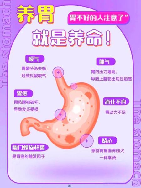 胃病吃什么好_养胃食谱推荐-第2张图片-山城妙识