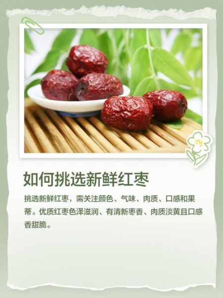 新鲜枣子的功效与作用_新鲜枣子的禁忌有哪些-第1张图片-山城妙识