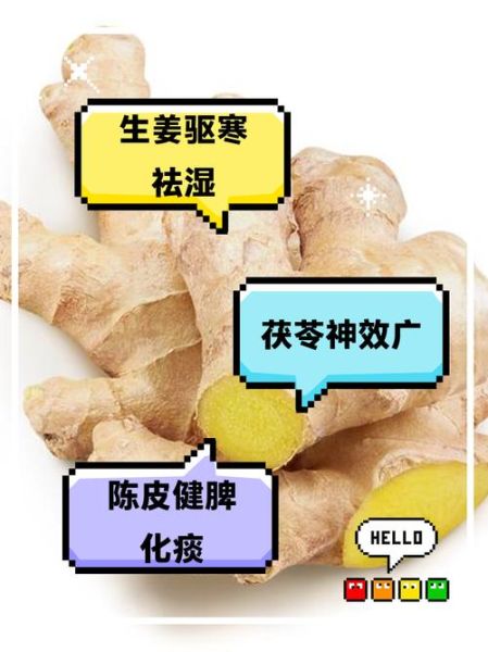 脾胃虚弱湿气重怎么调理_湿气重吃什么食物好-第3张图片-山城妙识