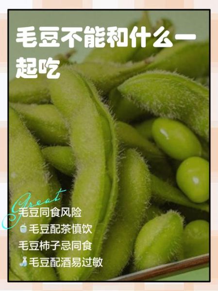 哪些人不宜吃毛豆_毛豆过敏人群能吃吗-第1张图片-山城妙识 哪些人不宜吃毛豆_毛豆过敏人群能吃吗-第1张图片-山城妙识