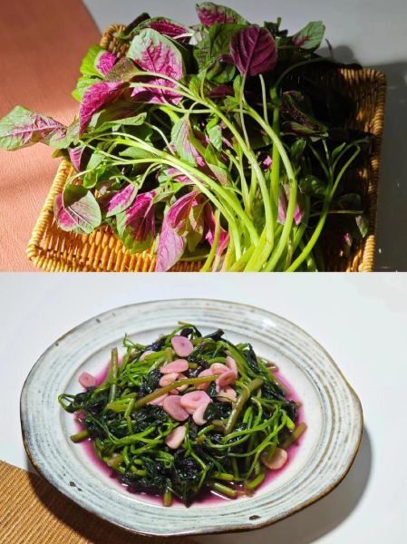 凉拌红苋菜怎么做_红苋菜焯水几分钟-第1张图片-山城妙识